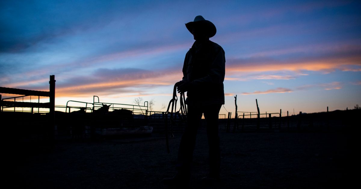 Where Trump’s border wall rises, ranchers see a scar on the range | The ...
