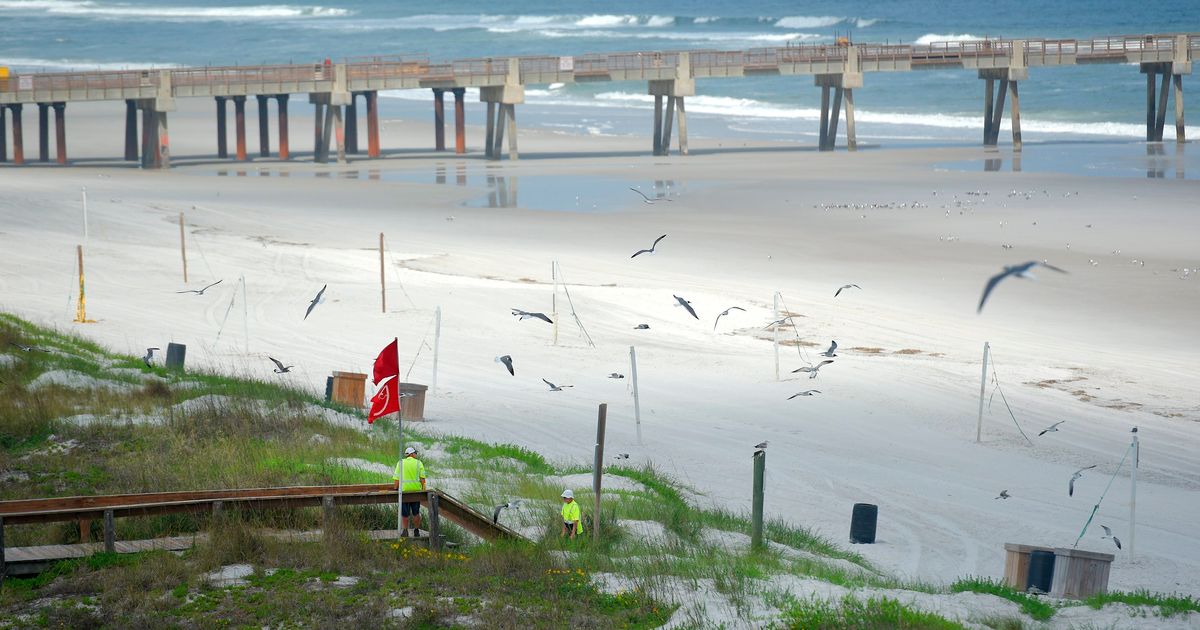Governor gives some Florida beaches green light to reopen | The Seattle ...