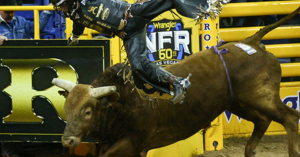 The buck stops: Cowboys hanging on until rodeos start again | The ...