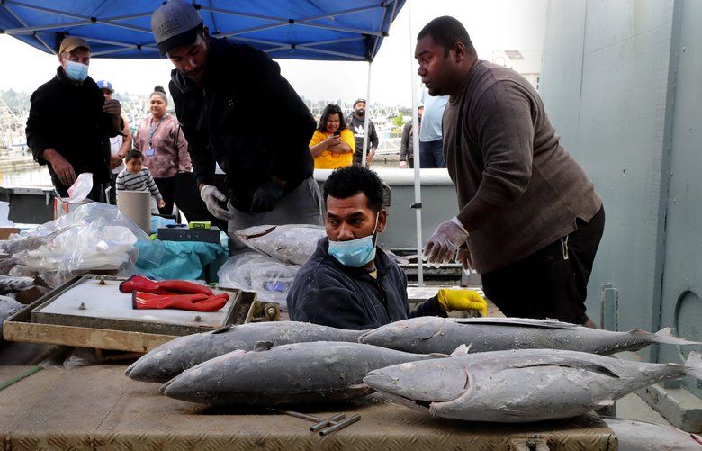 First Tuna landed in WA 2020 | Bloodydecks