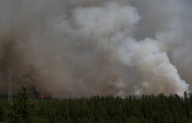 ‘Zombie fires’ are erupting in Siberia and Alaska, signaling severe ...