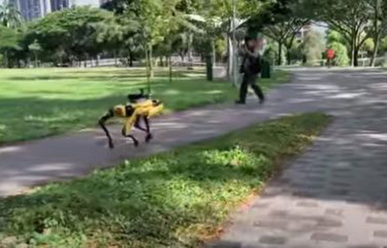 Robot dog helps enforce social distancing in Singapore | The Seattle Times