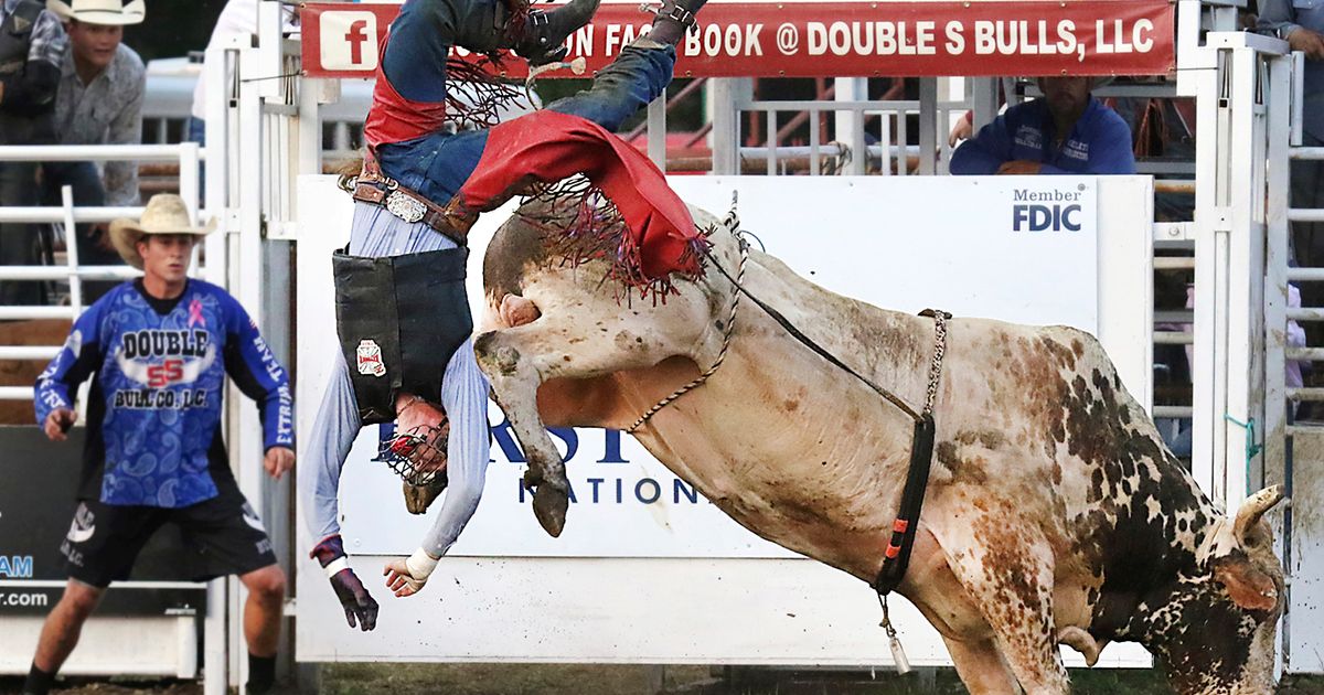 Bull riding may be 1st US professional sport to welcome fans | The ...