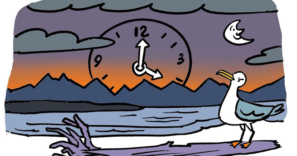 Rant & Rave: Reader challenges the term ‘Big Dark’ | The Seattle Times