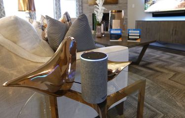 We’ve been isolated for months, and now we hate our home assistants ...