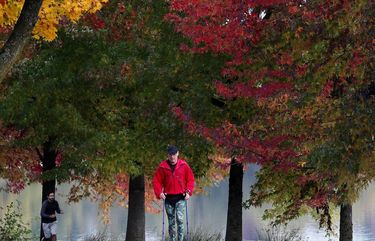 A spectacular fall scene in Seattle | The Seattle Times