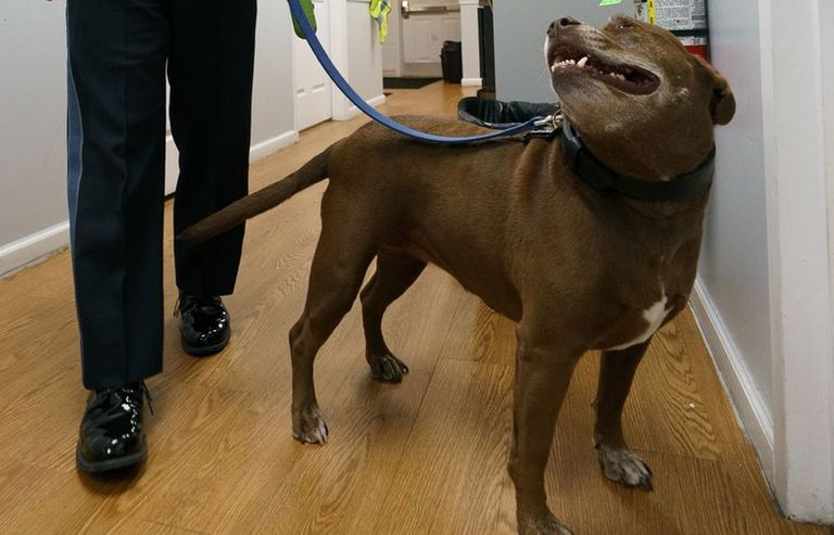 Stephanie Farr | The Seattle Times