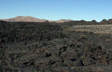Go to the moon — no, not that one — and 4 other ideas for fun with your ...