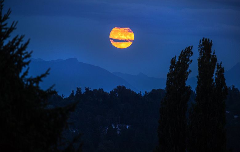 Real Full Moon Full Moon April 2025 A Pink Moon, Micromoon. What That