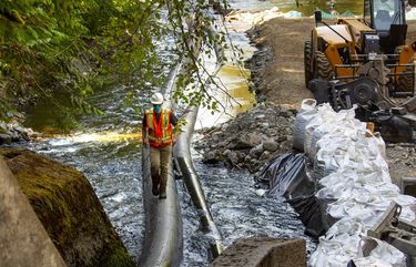Another Washington dam removal — and 37 more miles of salmon habitat ...