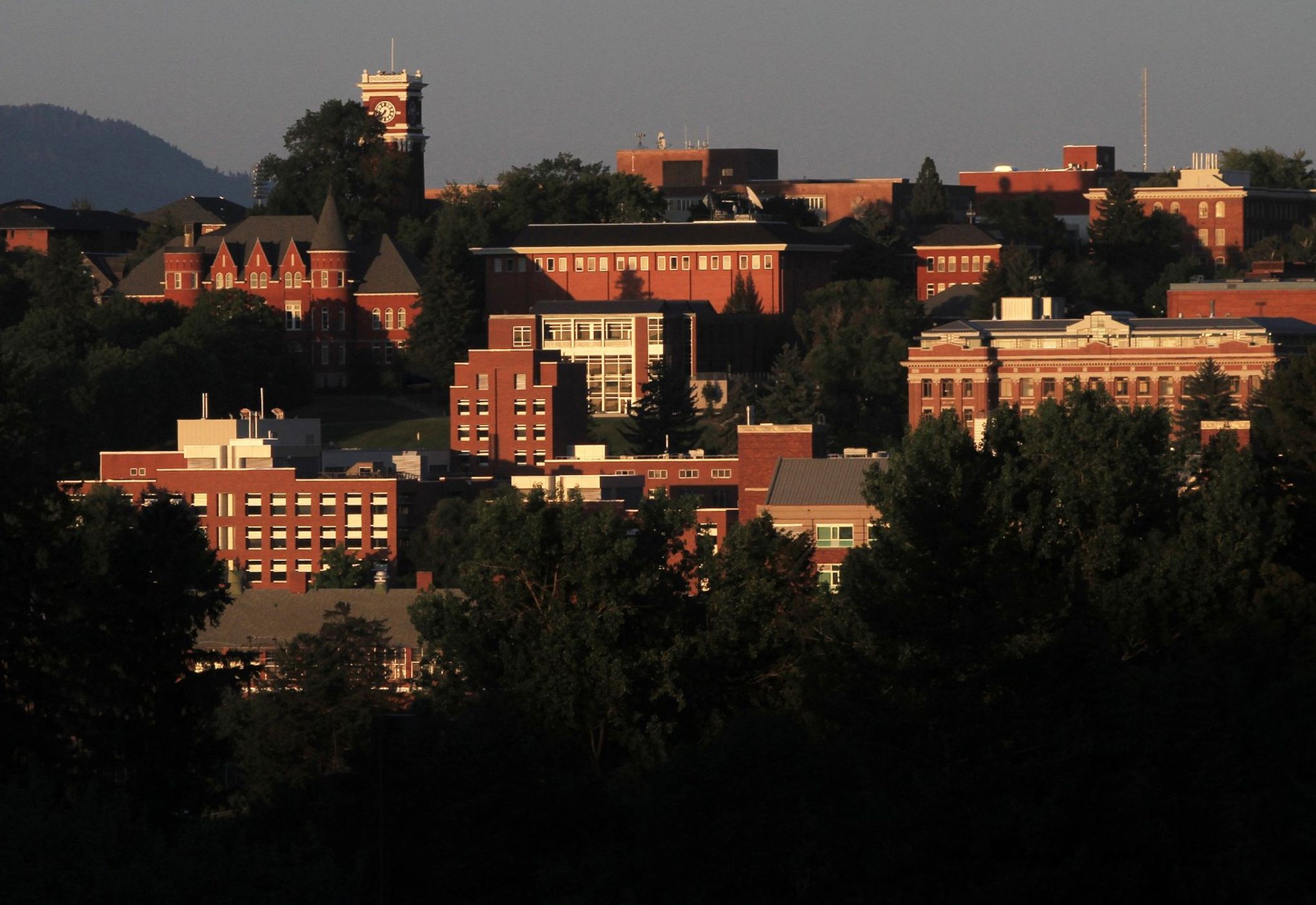 Washington State University Campus
