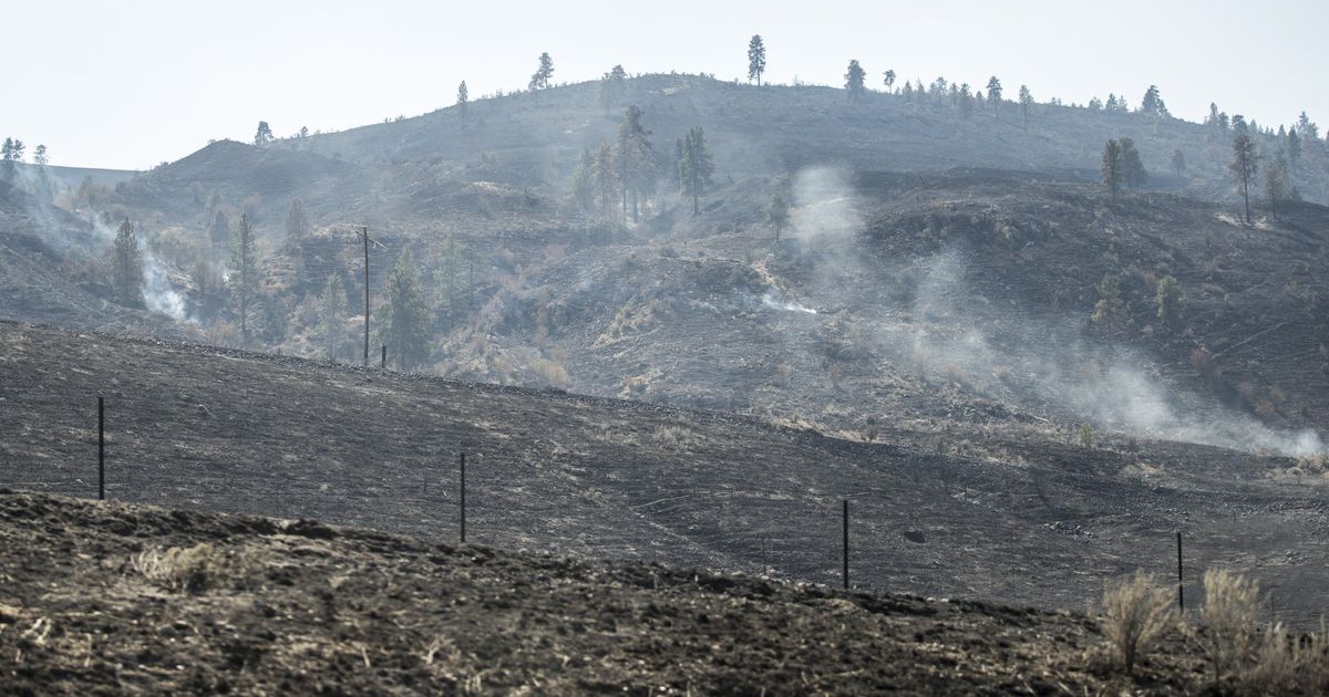 Wildfires rage as Seattle area braces for ‘super-massive’ plume of ...