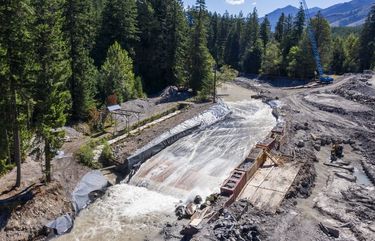 Electron Dam should come down ‘as soon as possible,’ Pierce County ...