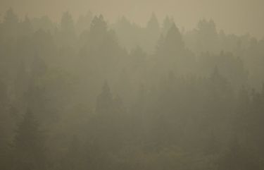 Photos: Smoke continues to consume Seattle area | The Seattle Times