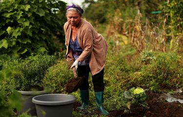 Fall means changing colors, and garden chores, at Seattle’s Marra Farm ...