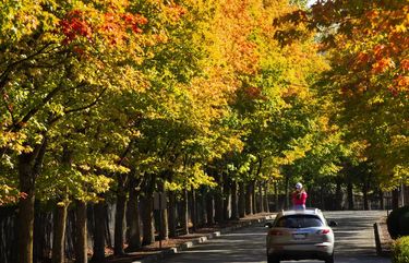 What’s there to do in the Seattle area this fall weekend | The Seattle ...