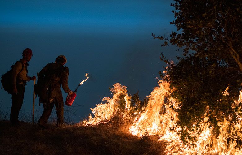 The new line of attack on climate science in the age of megafires | The ...