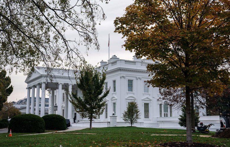 Francesca Chambers | The Seattle Times