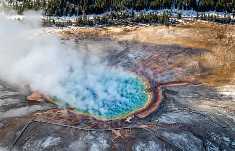 Visitors watch as bison falls into Yellowstone hot spring and dies ...