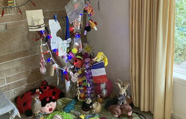 Covid Tree: My family’s pandemic time capsule and lifeline | The ...