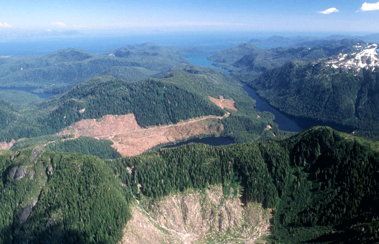 A strategic natural-carbon reserve to fight climate change | The ...