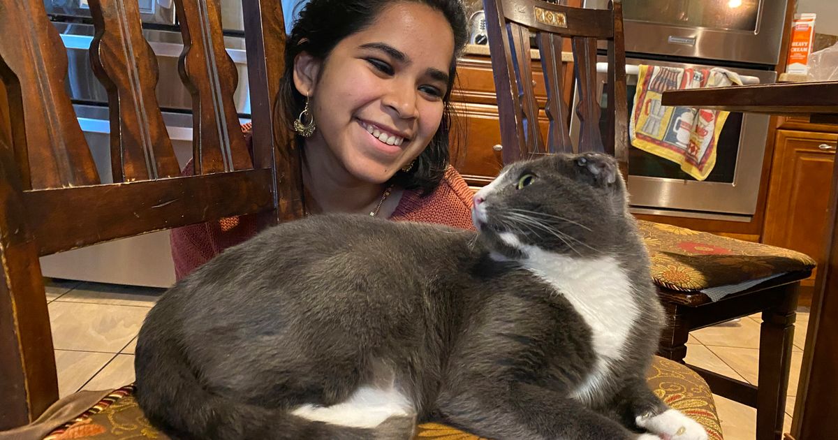 Left behind: How to prepare pets for a post-pandemic life | The Seattle ...