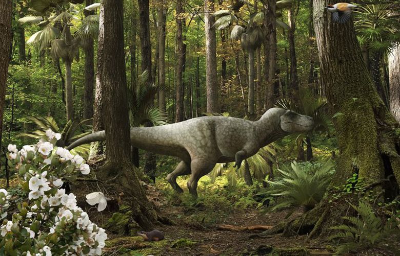 Paleo art blends science and speculation to illustrate life — as we ...