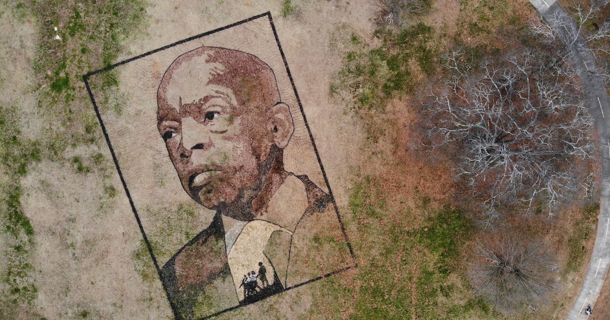 Artist creates natural portrait of Lewis in Atlanta park | The Seattle ...