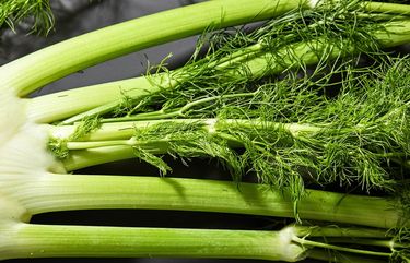 How to embrace fennel and add its subtle sweetness to your cooking ...