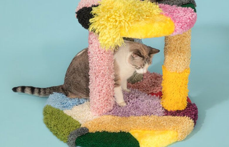 Would you spend hundreds for a fancy cat scratcher? | The Seattle Times