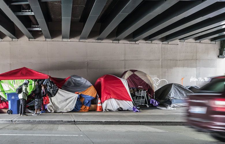 Charter amendment should elevate Seattle’s homelessness debate | The ...