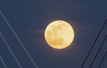 Seattle-area forecast: a mostly dry week and a chance to see 2021’s ...