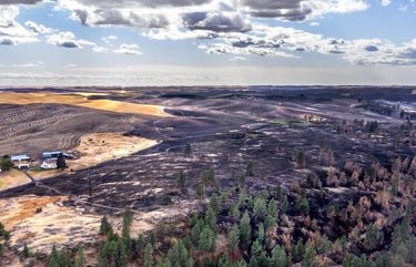 Tree blown into power lines caused destructive Malden fire, report says ...