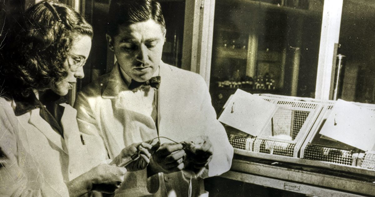 Helen Murray Free Dies at 98; Chemist Developed Diabetes Test | The ...