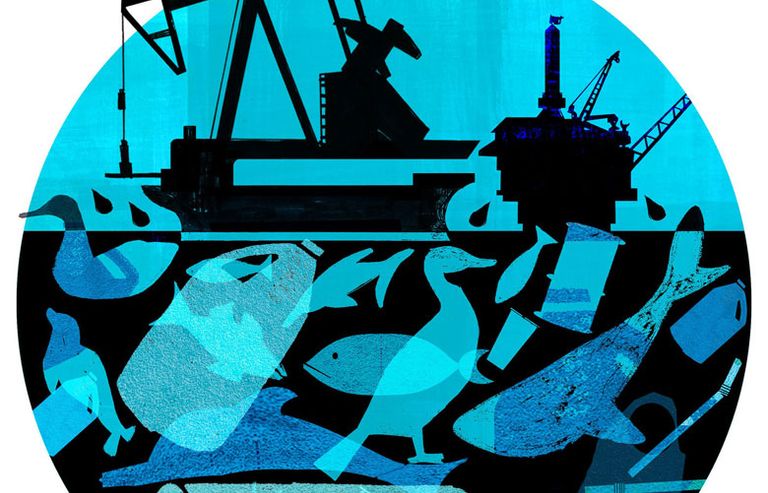 Miriam Goldstein | The Seattle Times