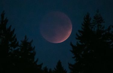 A lunar eclipse and super blood moon are coming to Northwest skies, but ...