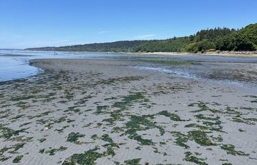 This hidden beach links Golden Gardens and Carkeek Park, only emerges ...