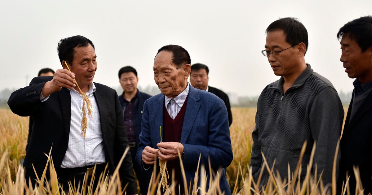 China’s Yuan Longping dies; rice research helped feed world | The ...