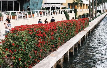 A 20-foot-high seawall? Miami faces hard choices caused by climate ...