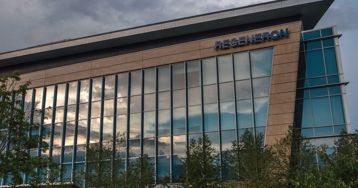 Regeneron drug reduces COVID patient deaths in large study | The ...