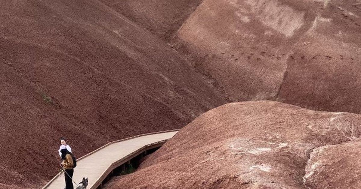 Step back into Oregon’s prehistoric past at John Day Fossil Beds ...