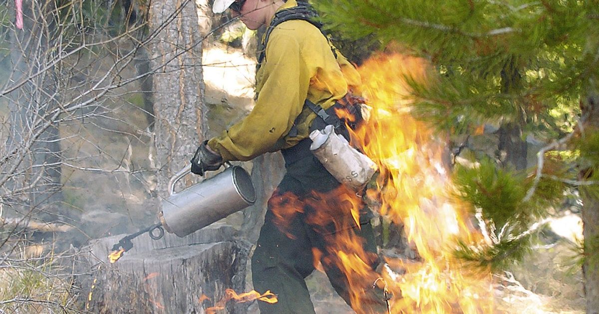 Amid clamor to increase prescribed burns, obstacles await | The Seattle ...
