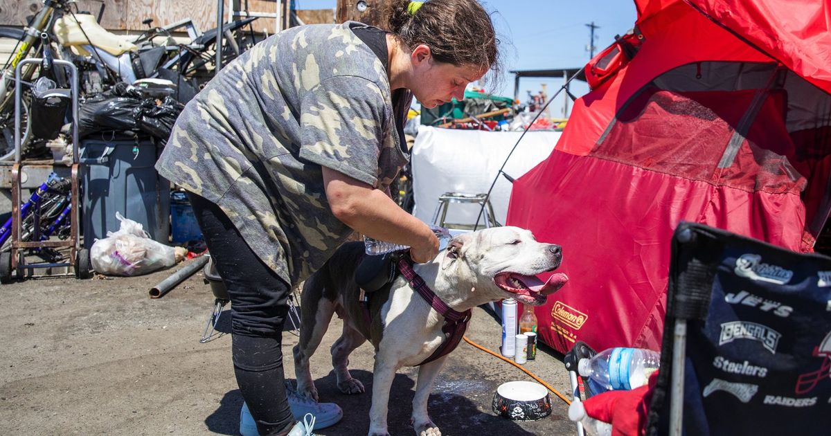 Homeless and low-income Seattleites struggle to stay cool in dangerous ...