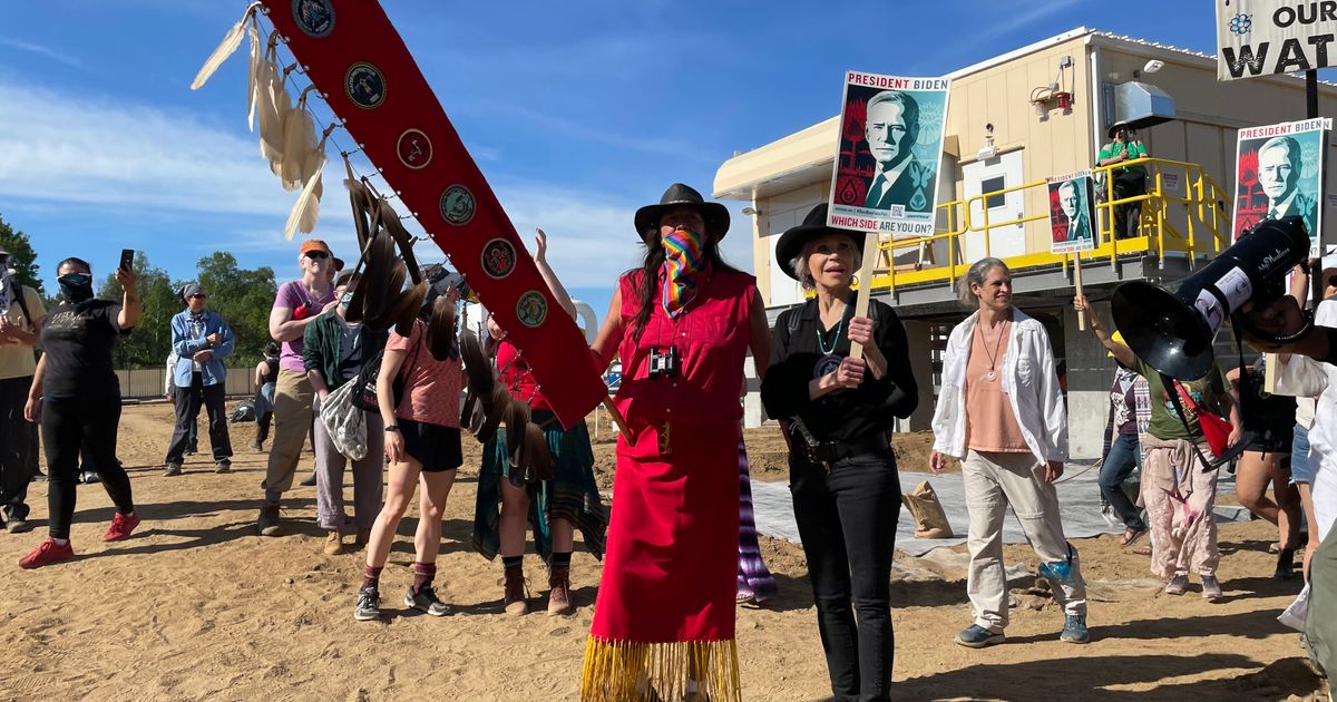 Pipeline protesters seize Minnesota construction site in bid to stop $4 ...