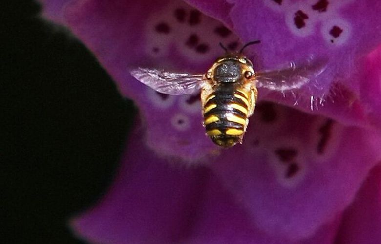 Gardeners are the natural choice for leading the way when it comes to ...