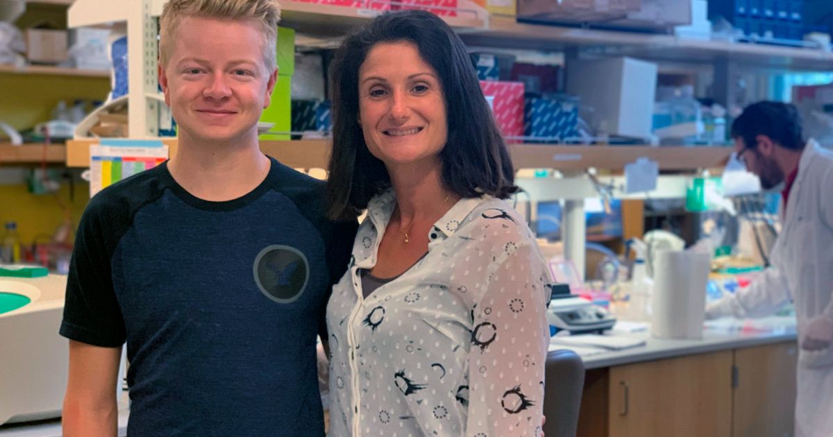 Newer methods may boost gene therapy’s use for more diseases | The ...