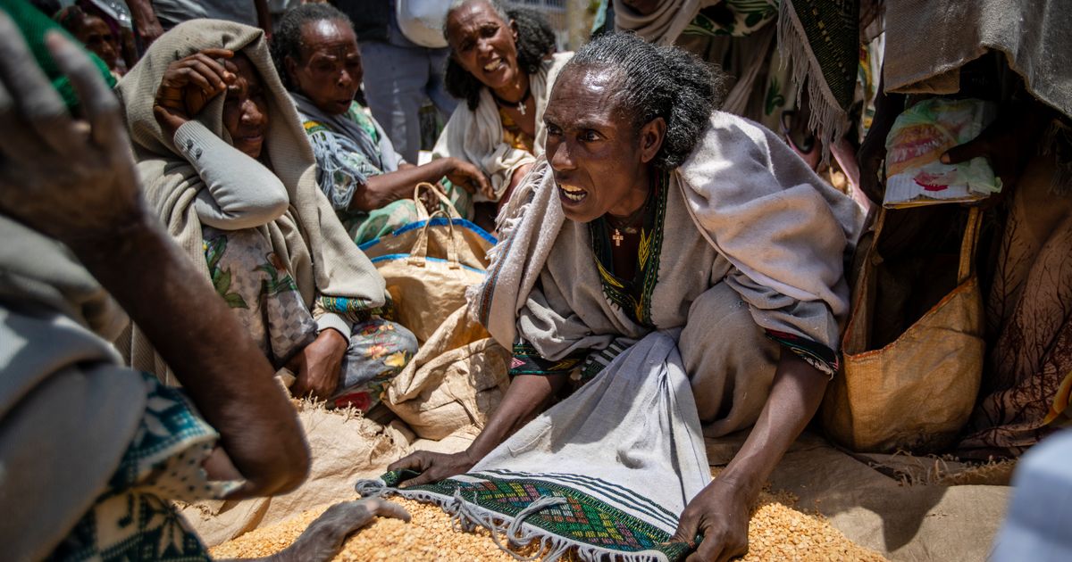 Report on Tigray: 350,000 face famine, 2 million a step away | The ...
