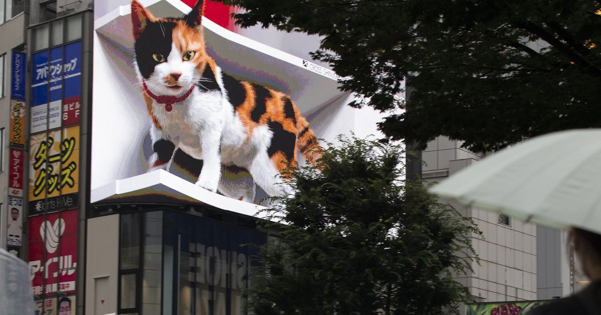 A massive digital cat is melting hearts (and napping a lot) in Japan ...