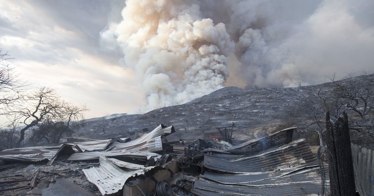 A couple accused of igniting a massive wildfire with a gender-reveal ...