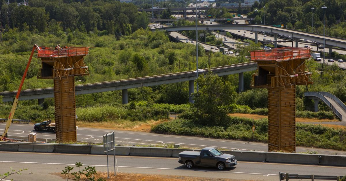 Protect the legacy of our urban parks, a classic public good | The ...